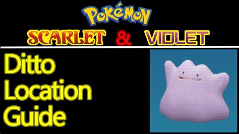 Evolution Chart Of Ditto