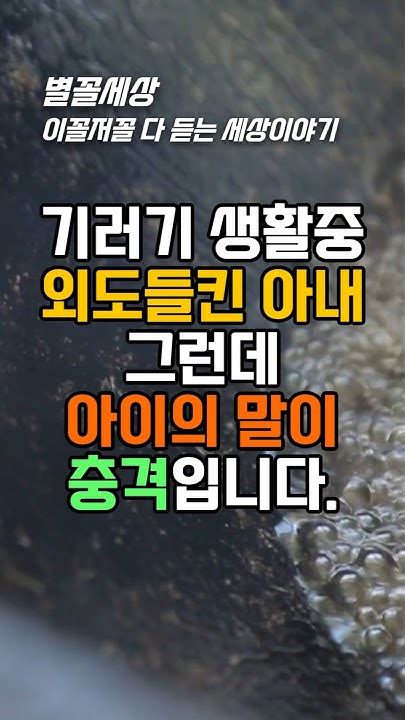 기러기 생활하다 바람난 아내 그런데 아이가 충격적인 말을 외도사연 상간남 내연남 불륜사연 기러기아빠 실제사연 실화사연 별거 이혼사연 양육비 Youtube