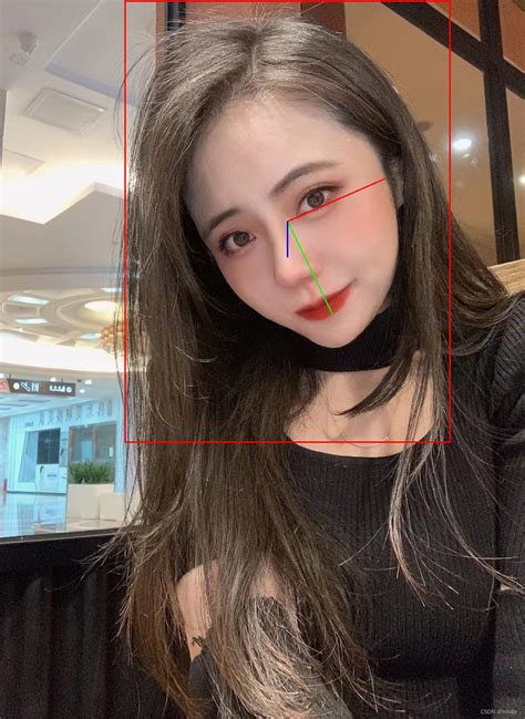 用opencv的dnn模块做yolov5目标检测 opencv yolov5 csdn博客