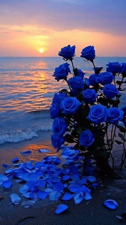 الي يحب الون الزرق يحط تعليقتصميم بلون الازرق Youtube