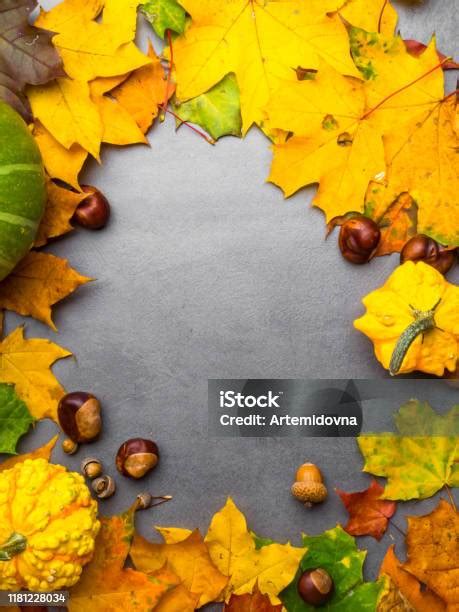 화려한 단풍 나무 잎과 호박 옥수수 체스 너트 복사 공간이가있는 가을 수확의 프레임과 가을 배경 계절 별 행사 및 홀리데이 엽서 모형 0명에 대한 스톡 사진 및 기타 이미지