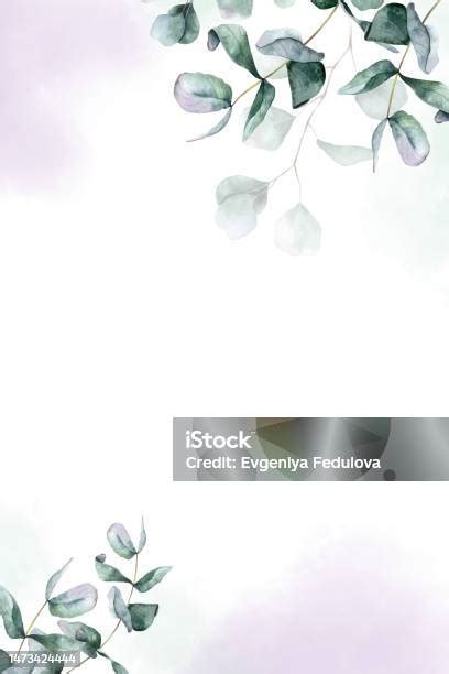 유칼립투스 녹색 잎과 수채화 반점 프레임 수채화 꽃 그림입니다 청첩장 인사말 배경 화면 엽서의 배경 개화기에 대한 스톡 벡터