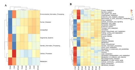 Predicted Functional Gut Microbial Community At Different Feeding