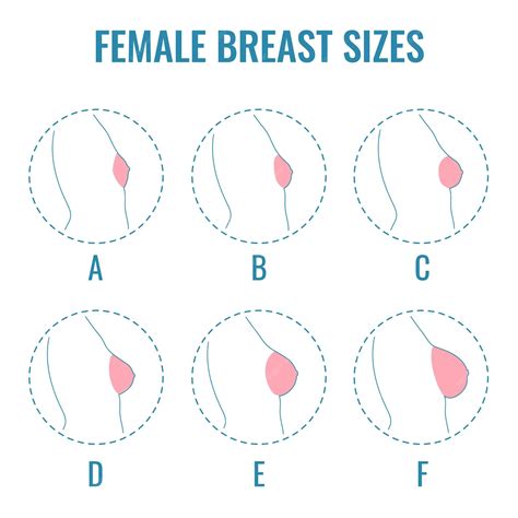 Premium Vector Set Of Round Line Icons Of Different Female Breast