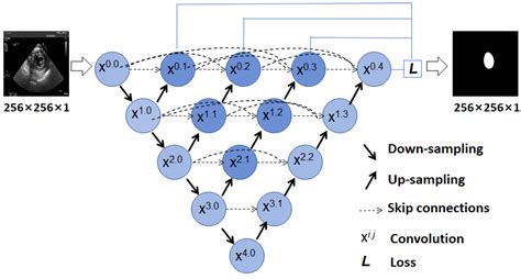 Deep Learning Based Automatic Left Ventricle Segmentation From The