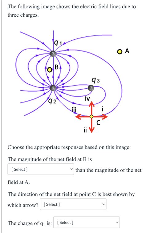 Solved The following image shows the electric field lines | Chegg.com