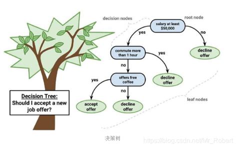 【机器学习算法笔记系列】决策树 decision tree 算法详解和实战 decisiontreeclassifier是什么算法 csdn博客