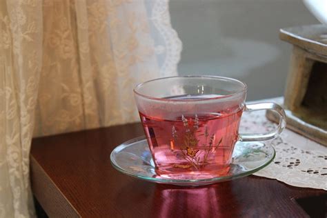 Rで確率分布非心t分布 Science And Engineering Cafe On The Net