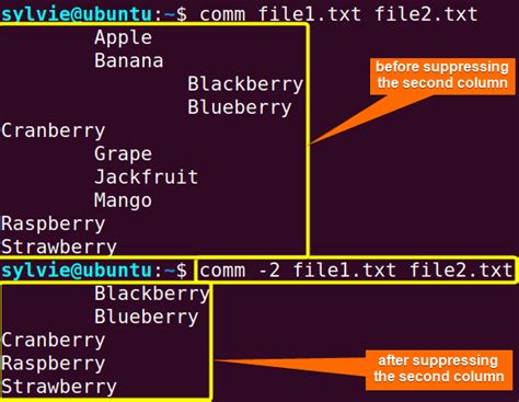 the “comm” command in linux [10 practical examples]