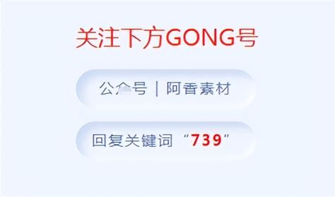 「739期」超好用！这488套excel可视化动态图表模板！自带公式 正数办公