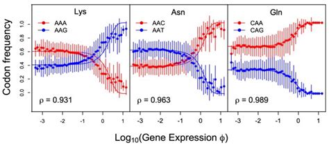 Evolution Of Biased Codon Usage