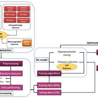 Workflow For The Machine Learning ML Model Used To Distinguish Ductal Download Scientific