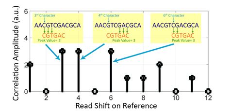Correlating Two Sequences A Correlation Output Prior To Character