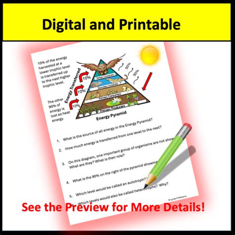 Analyzing Graphs And Data Analysis 5th Grade Science