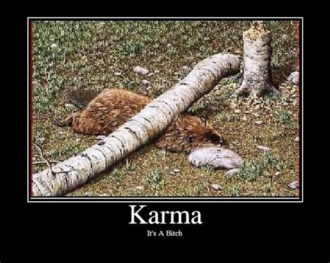 Funny Karma Quotes Quotesgram