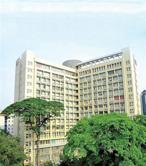 中山大学数字报