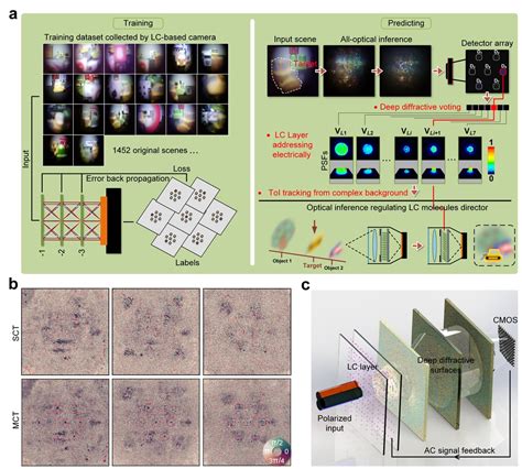 A Physics Informed Deep Learning Liquid Crystal Camera With Data Driven Diffractive Guidance