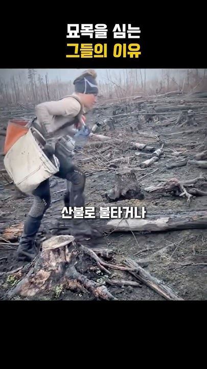 나무 심기의 달인들 Youtube