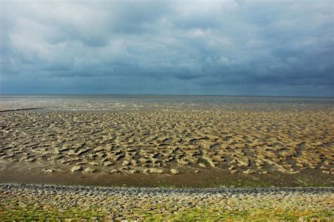 Restoring Salinity Gradients Ecoshape
