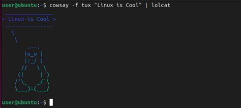 make your linux terminal text full of rainbows with this one command