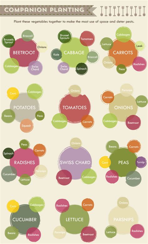 Companion Planting Chart Printable Uk Printable Hub