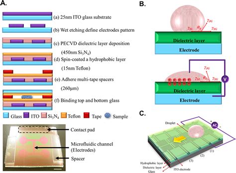 Scheme Of Ewod Chip Design And Fabrication And Principle Of Ewod A