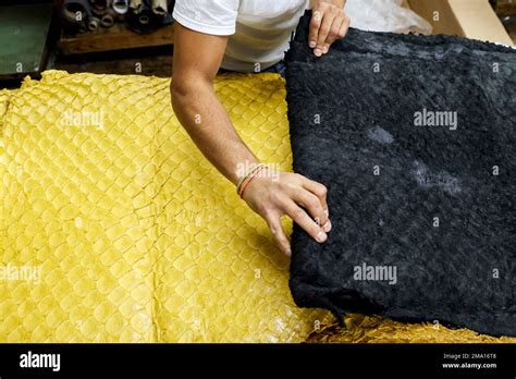 Alex Dabagh Looks Through A Box Of Newly Arrived Pirarucu Skins