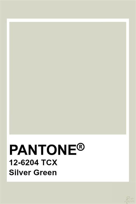 Awesome Silver Pantone Color Neutrals