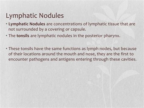Ppt The Lymphatic System Powerpoint Presentation Free Download Id2140011