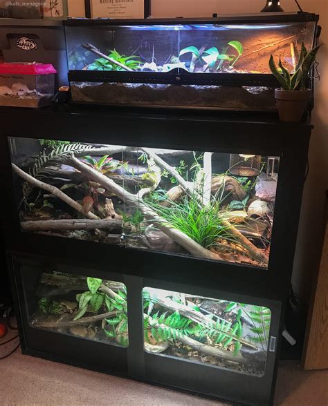 PVC Ball Pythons Exo Terra Fire Skink R HerpHomes