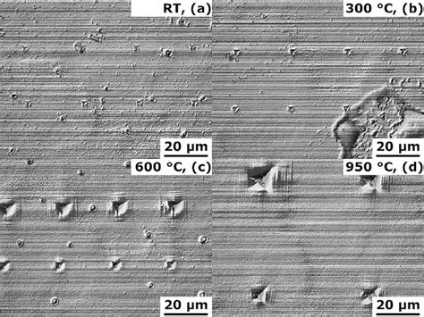 Clsm Images In Laser Differential Interference Contrast Mode Download Scientific Diagram