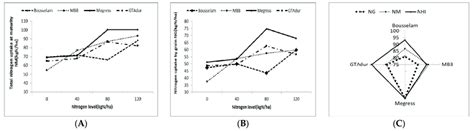 Total Nitrogen Uptake By Whole Plant A And By Grain B As Affected