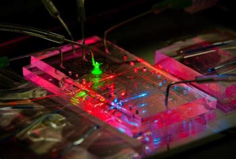 Optofluidic Cytometer