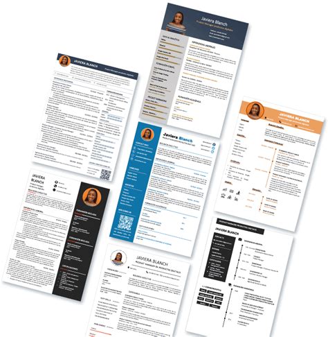 Professional Export And Import CV Templates Impressive And Top Notch