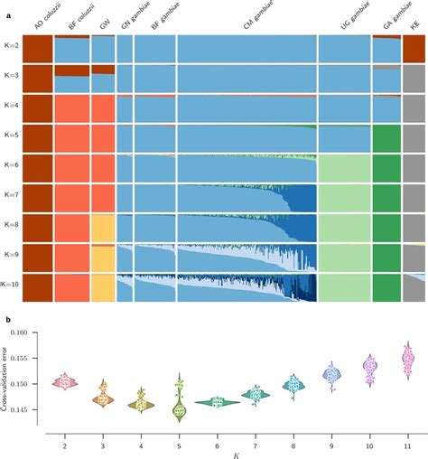 Admixture Analysis A Ancestry Proportions Within Individual Mosquitoes