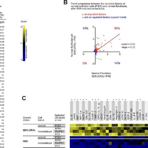 Sasp Of Human Fibroblasts A Soluble Factors Secreted By The Indicated