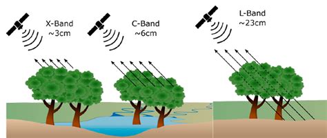 Sar Frequency Band Penetration Example 55 Download Scientific Diagram