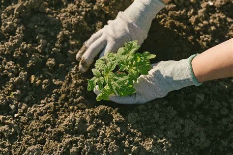 How Does A Human Composting Vessel Work