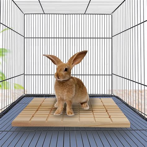3d Model Rabbit Den
