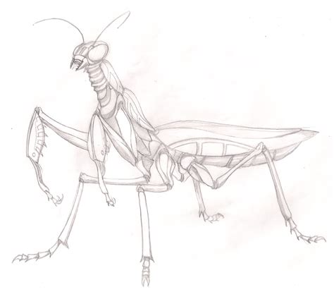 Robot Mantis By Katewhb On Deviantart