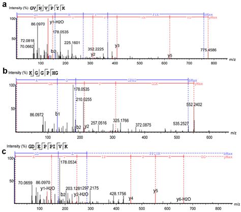 Preparation Characterization And Antioxidant Properties Of Selenium Enriched Tea Peptides