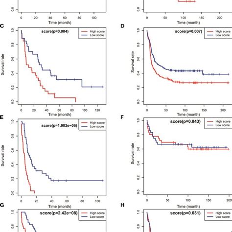 Kaplanmeier Survival Analysis Of Os For Patients In Different Nccn