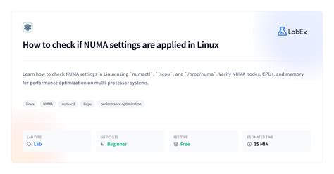 Linux Numa 설정 확인 방법 Numactl Lscpu Procnuma 활용 Labex