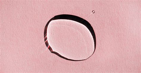 Coconut Oil For Sex How To Use Safety And Other Lube Options