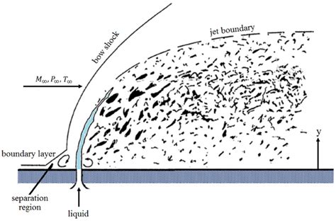 Bow Shock Fluid Dynamics