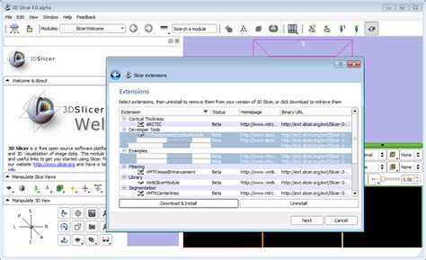 Release Details Slicer Wiki