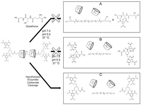 Synthesis Characterization And Evaluation Of Pluronic Based β Cyclodextrin Polyrotaxanes For