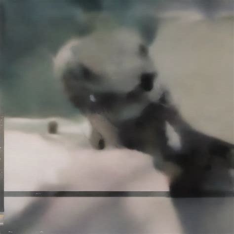 Squamous Cell Carcinoma Of The Scalp Insights And Analysis