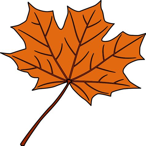 Platanus Leaf Figure Science Figures