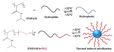Stimuli Responsive Macromolecular Self Assembly